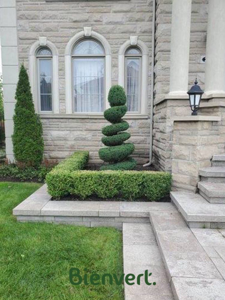 Aménagement de plates bandes - Paysagement Bienvert